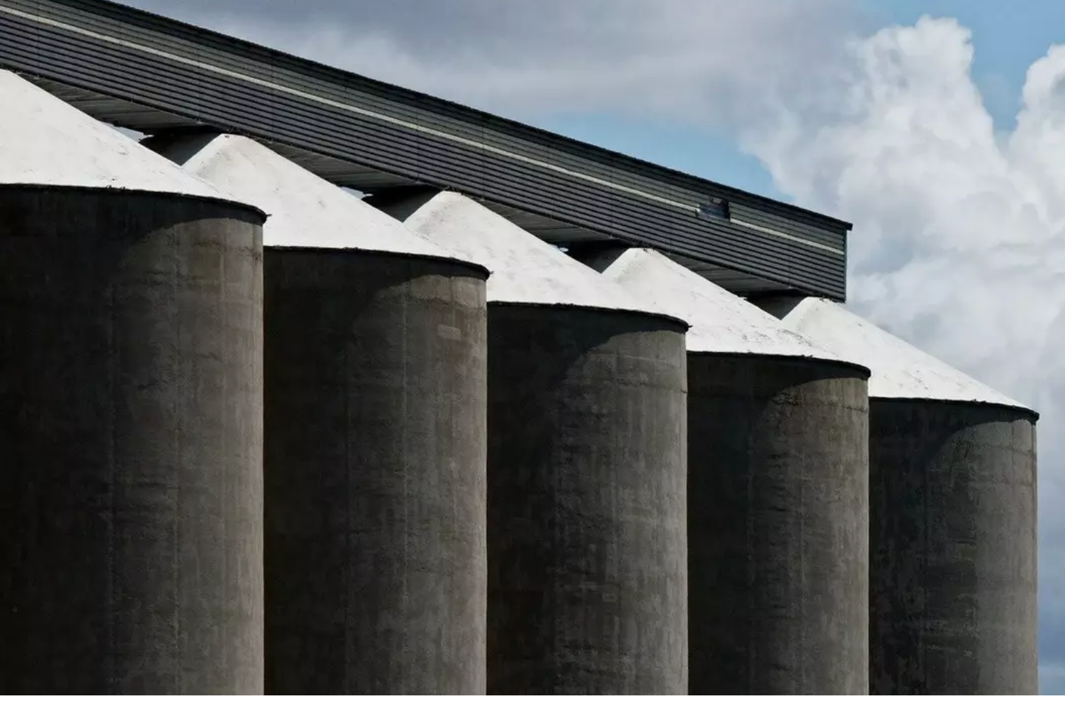 Silos in healthcare are bad for us. Here’s the cure | ProfMoosa